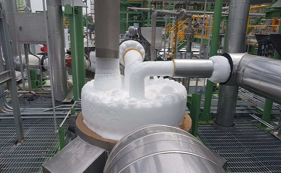 Cryogenic Pump Expander for LNG Plants (South Korea) | EBARA CORPORATION